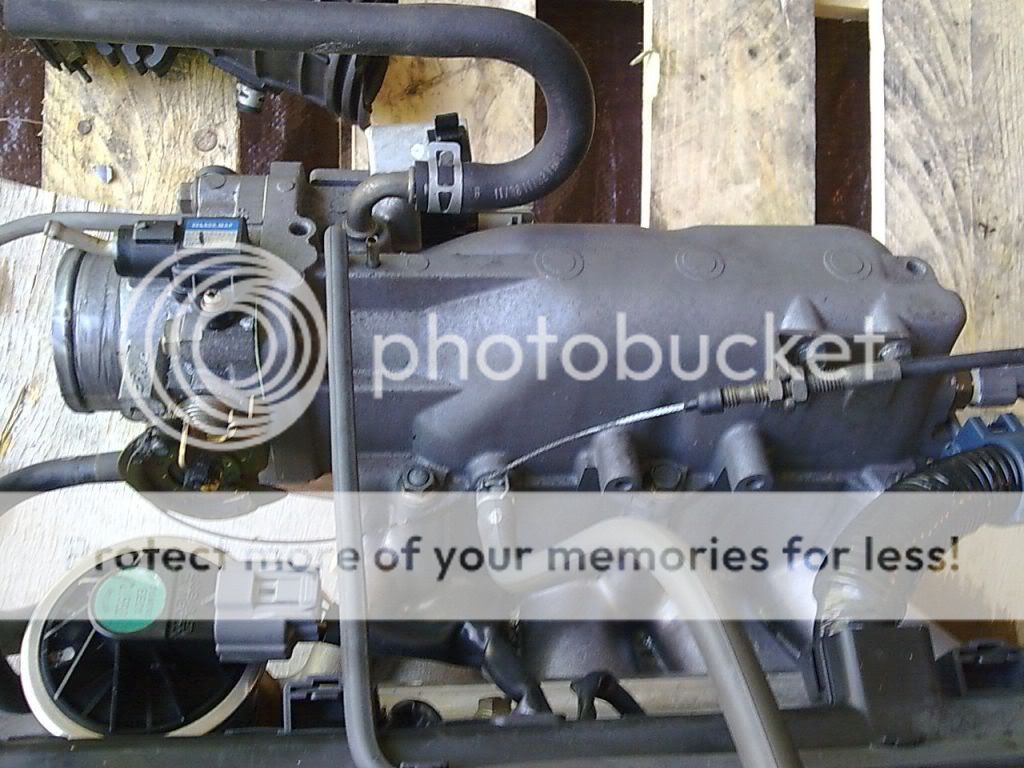 00 f23a1 to f23a jdm swap. -PICs- - Honda-Tech - Honda Forum Discussion